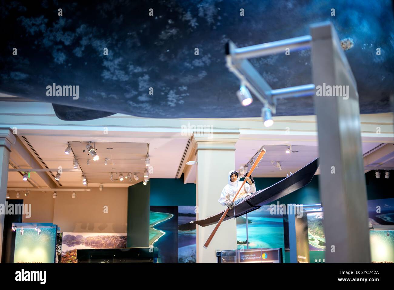 Traditional whaling diorama hi-res stock photography and images - Alamy