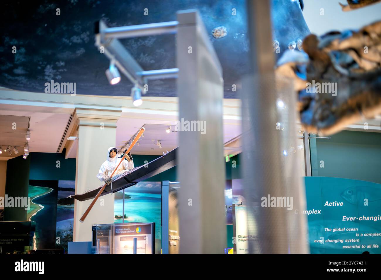 WASHINGTON DC — A suspended life-size diorama in the Sant Ocean Hall ...