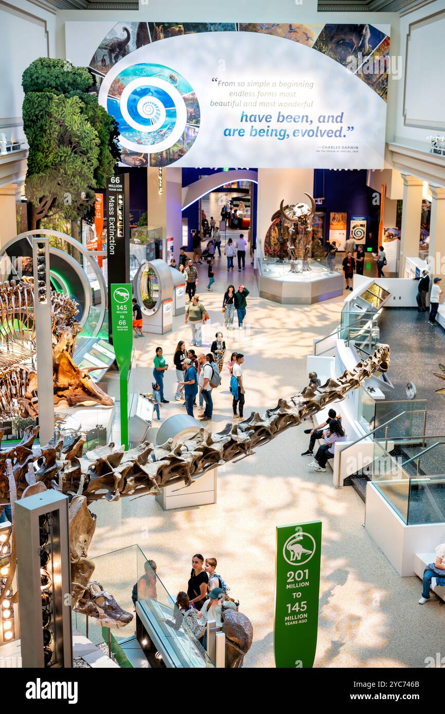 David h koch hall of fossils hi-res stock photography and images - Alamy