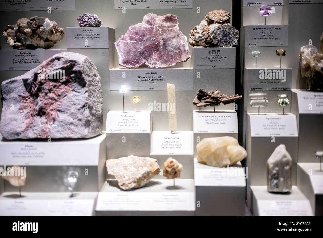 Mineral gallery specimens hi-res stock photography and images - Alamy