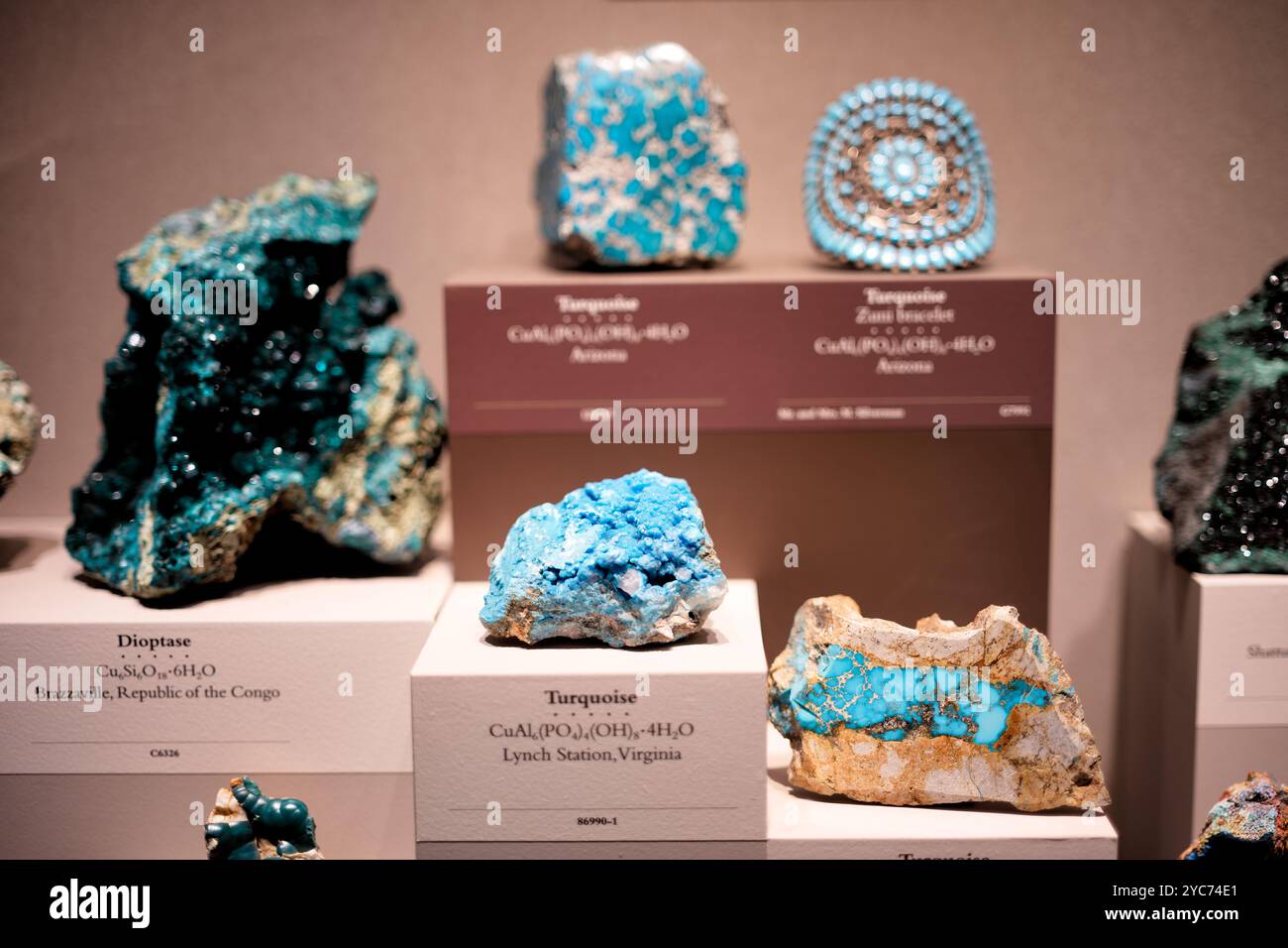 Showcasing distinctive specimens hi-res stock photography and images ...