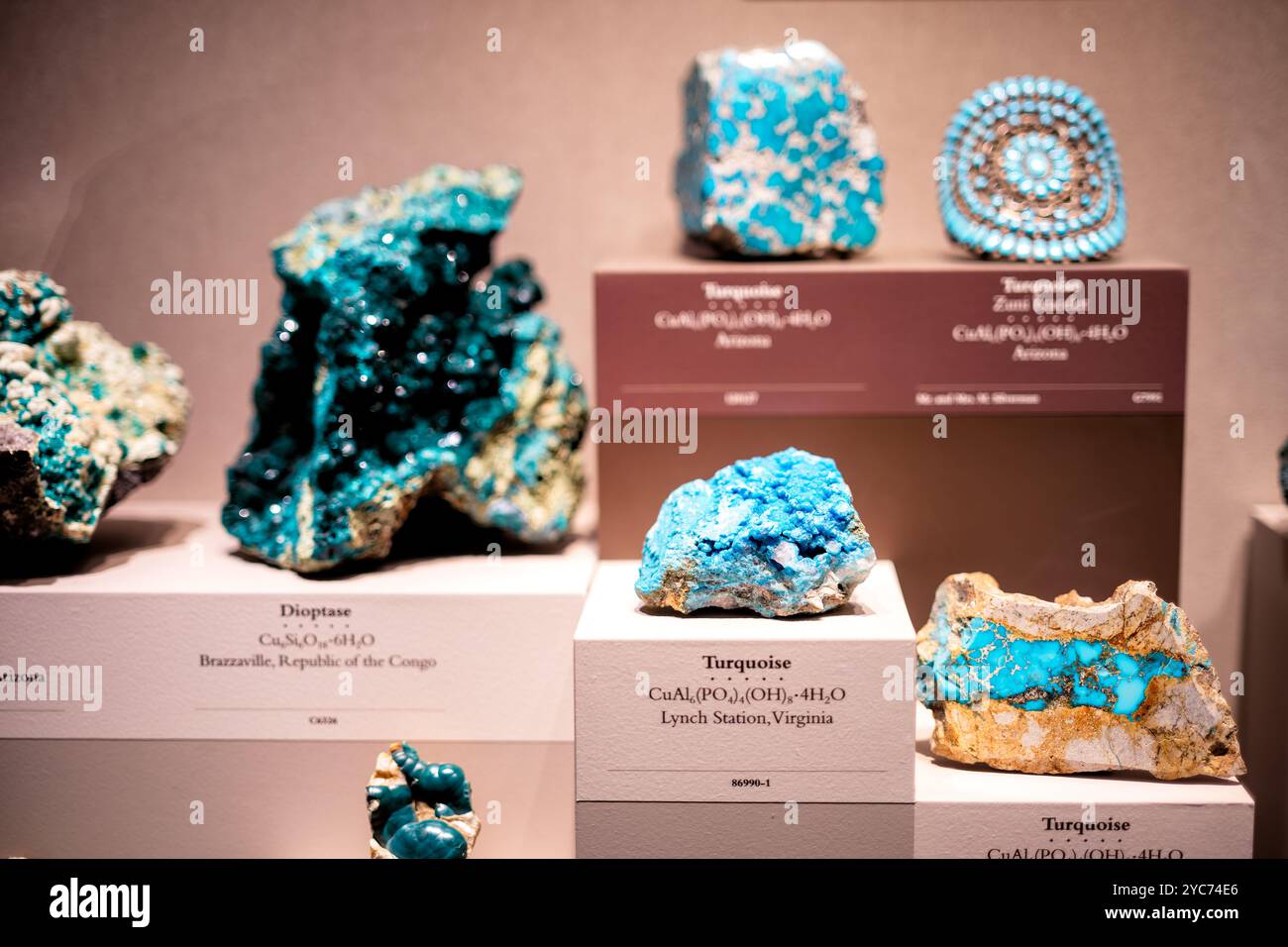 Coloration highlights features hi-res stock photography and images - Alamy