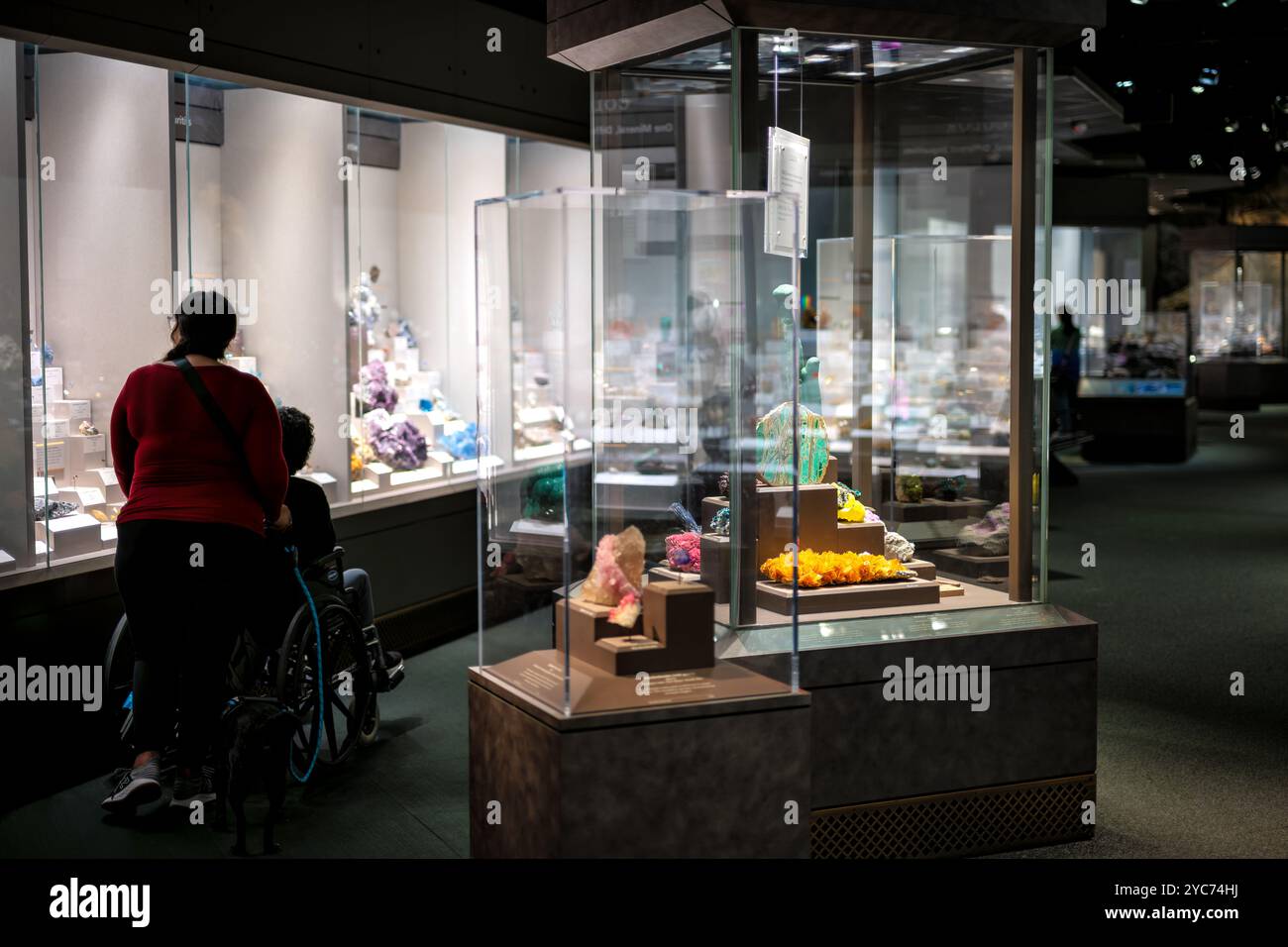 Rare and precious minerals gallery hi-res stock photography and images ...