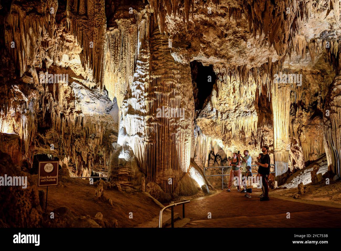 Luray Caverns Giant Redwood Formation Luray Virginia // LURAY, Virginia ...