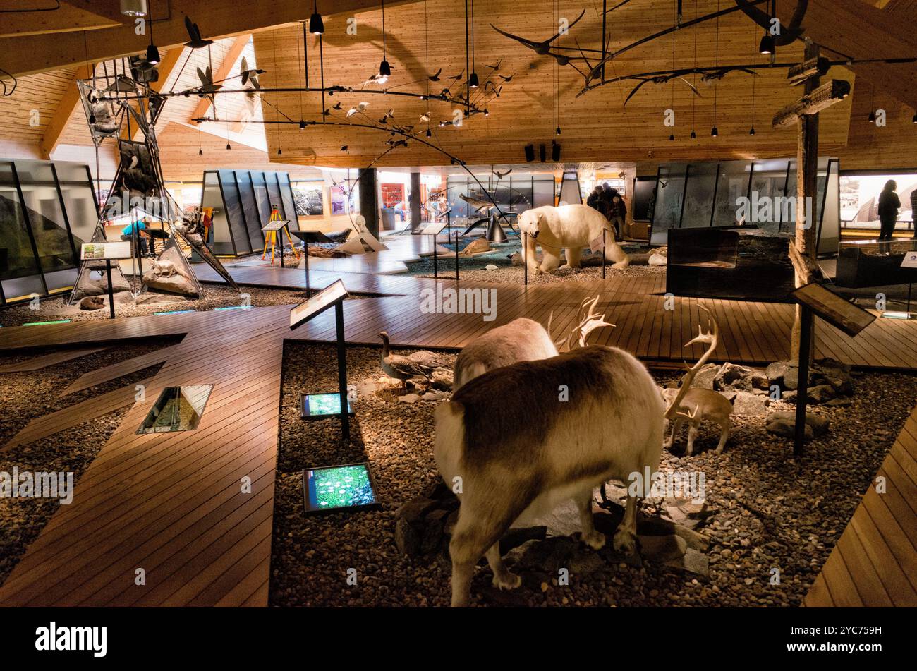 Arctic heritage exhibits hi-res stock photography and images - Alamy