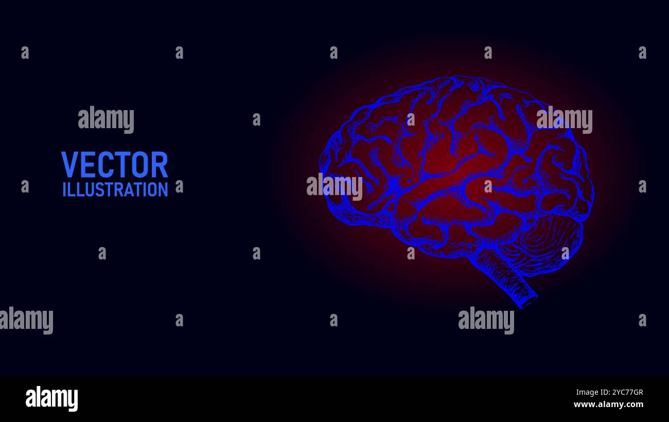 Anatomical human brain line drawing. Coaching session problem solution ... Anatomical human brain line drawing. Coaching session problem solution ...