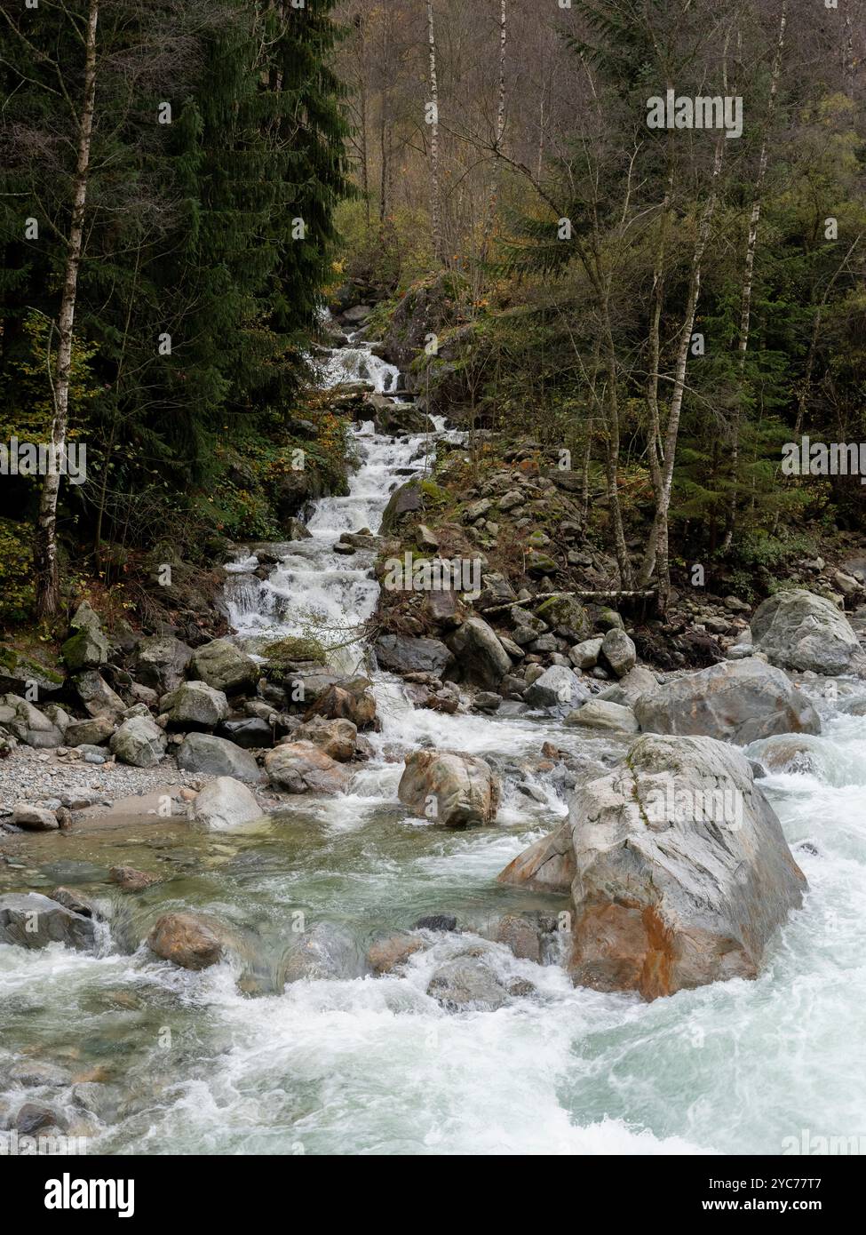 Mountain river in the Maritime Alps swollen with water after a few days ...