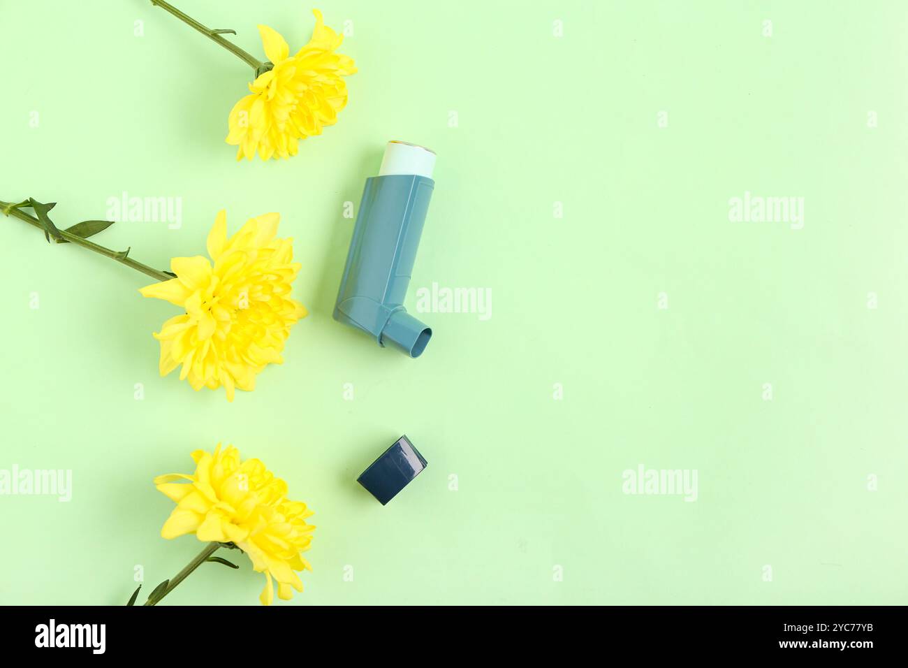 Modern inhaler with chrysanthemum flowers on green background Stock ...