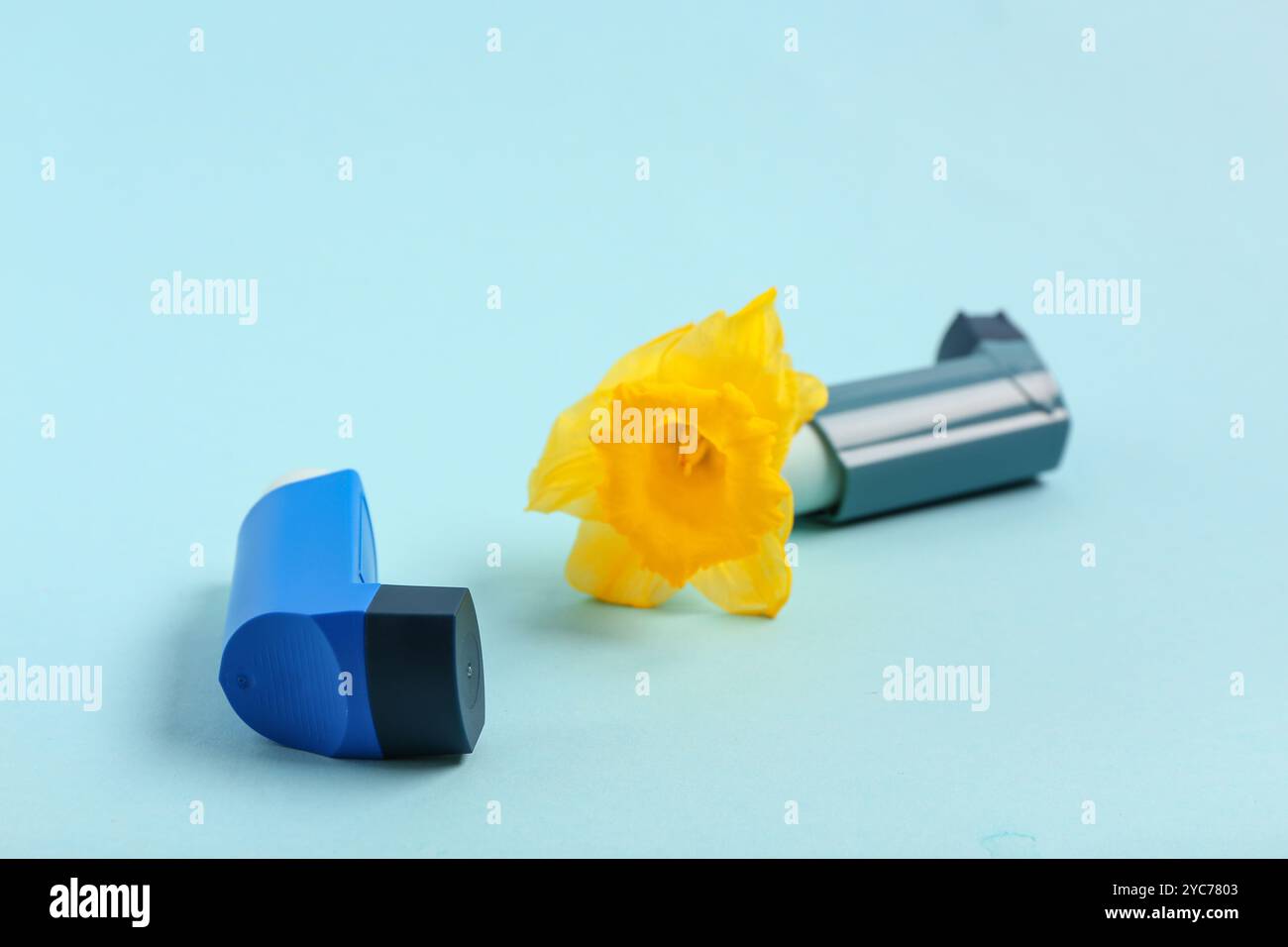 Modern inhalers and daffodil flower on blue background Stock Photo - Alamy