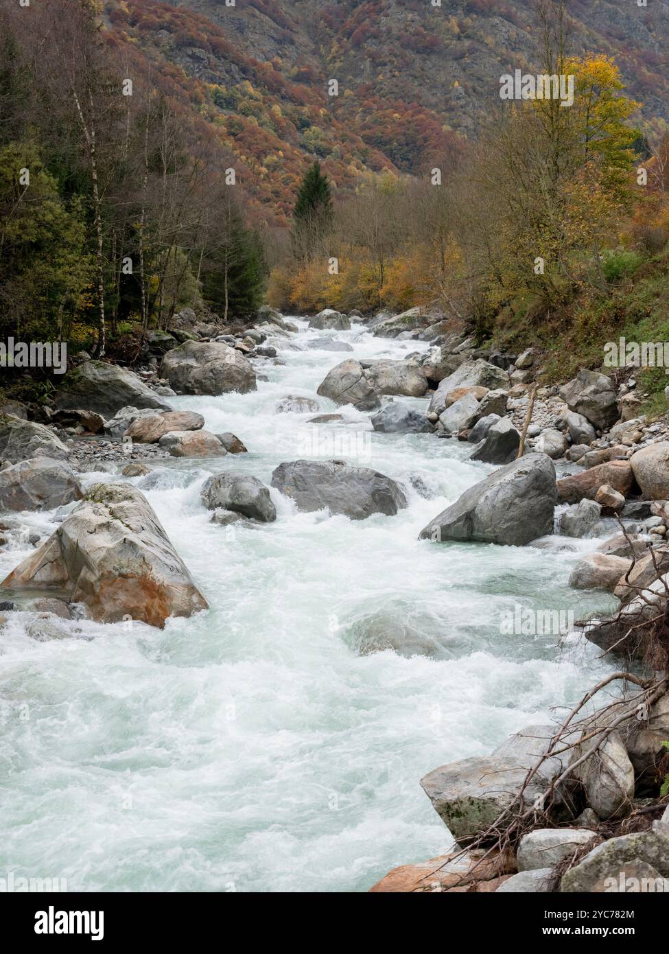 Mountain river in the Maritime Alps swollen with water after a few days ...