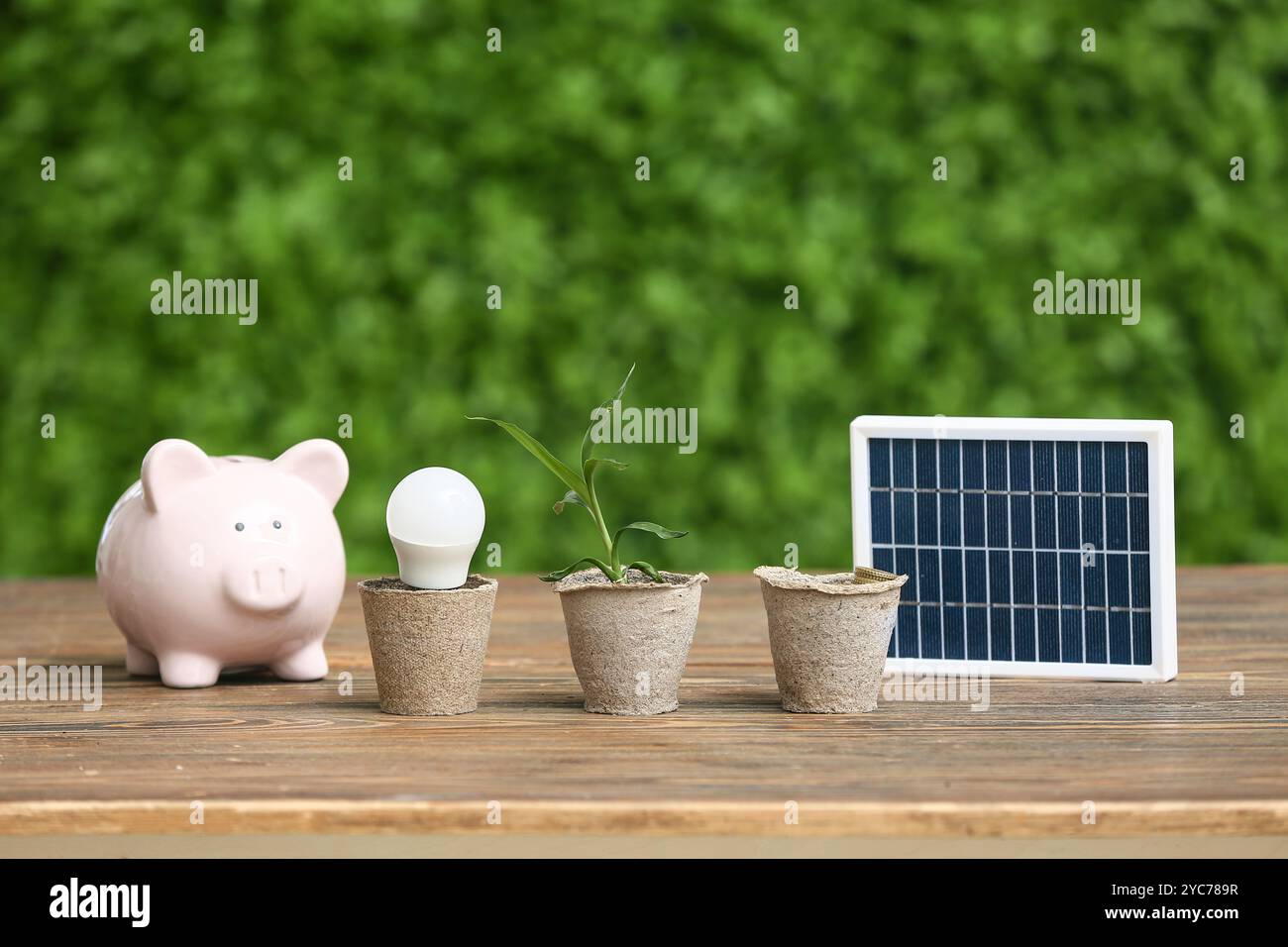 Cups with light bulb, plant, piggy bank and portable solar panel on ...
