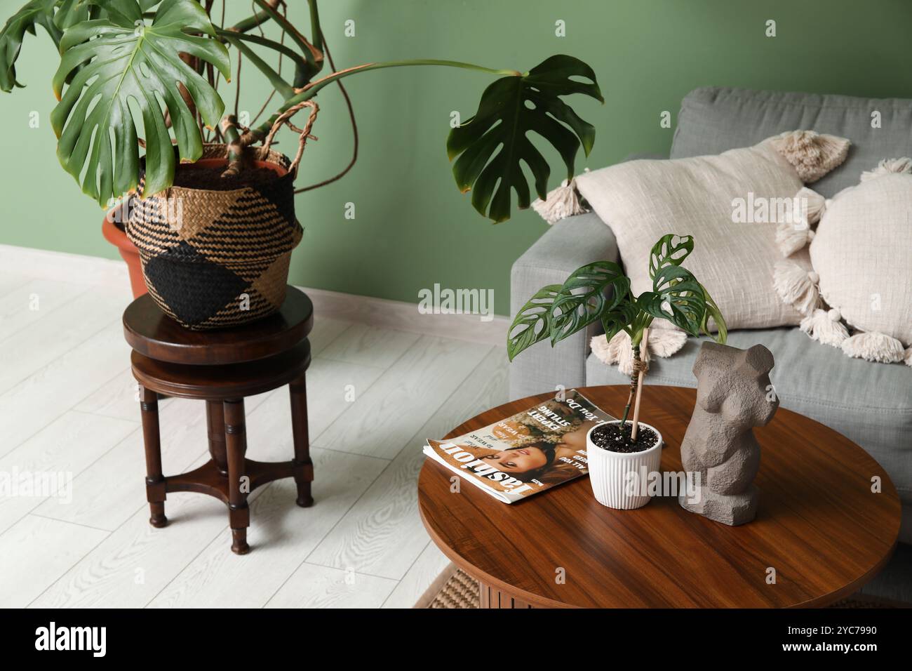 Monstera houseplants, sofa, coffee table with magazine, plant and human figure near green wall ...
