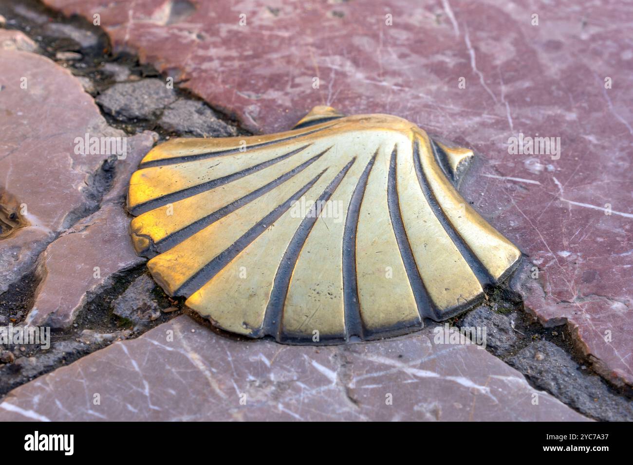 Shell of Santiago, Symbol, Way of Santiago de Compostela, León, Castile ...