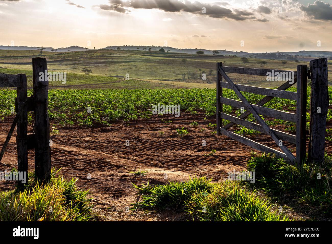 Brazilian farm gate hi-res stock photography and images - Alamy