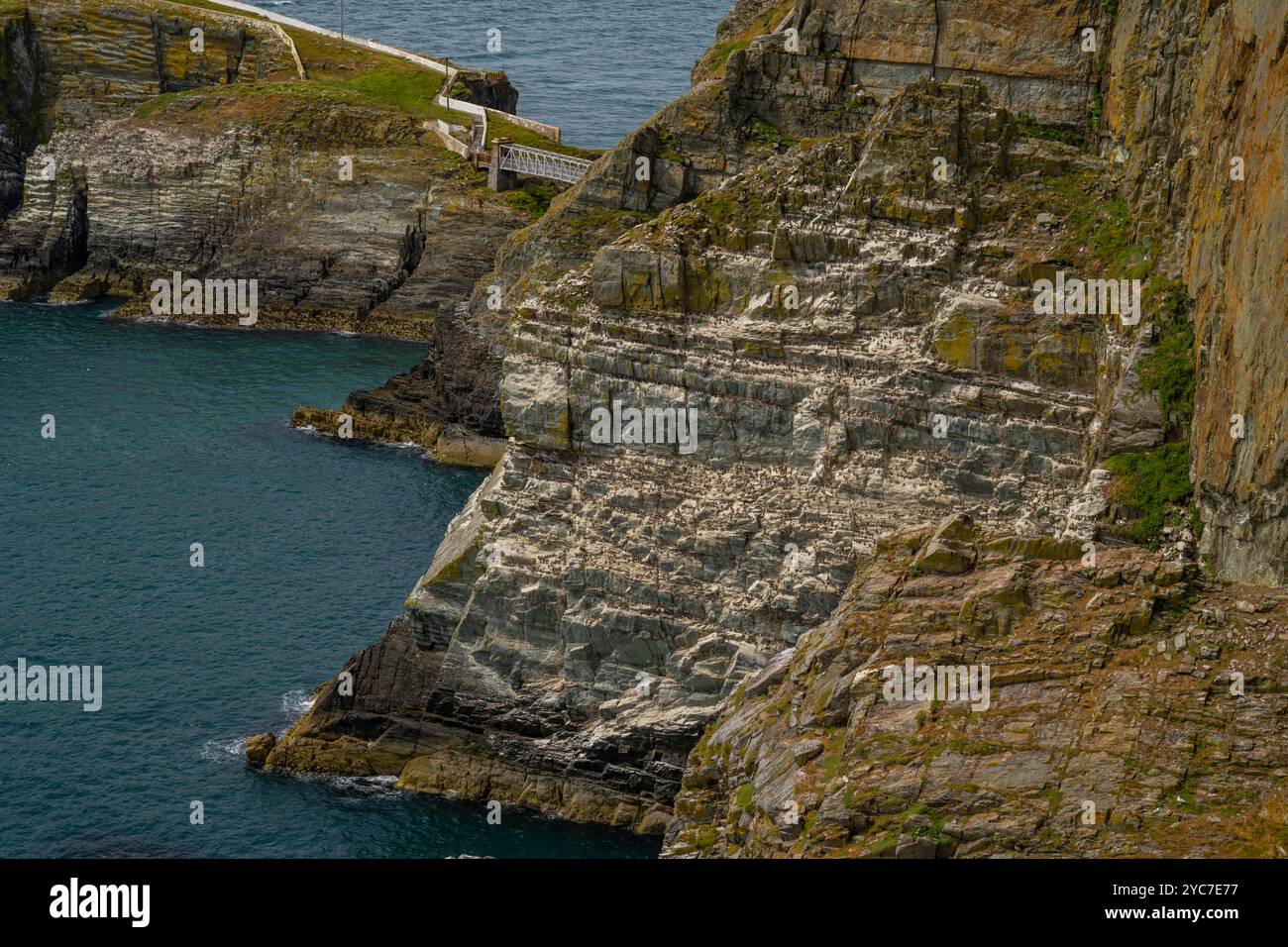 Nesting ai hi-res stock photography and images - Alamy