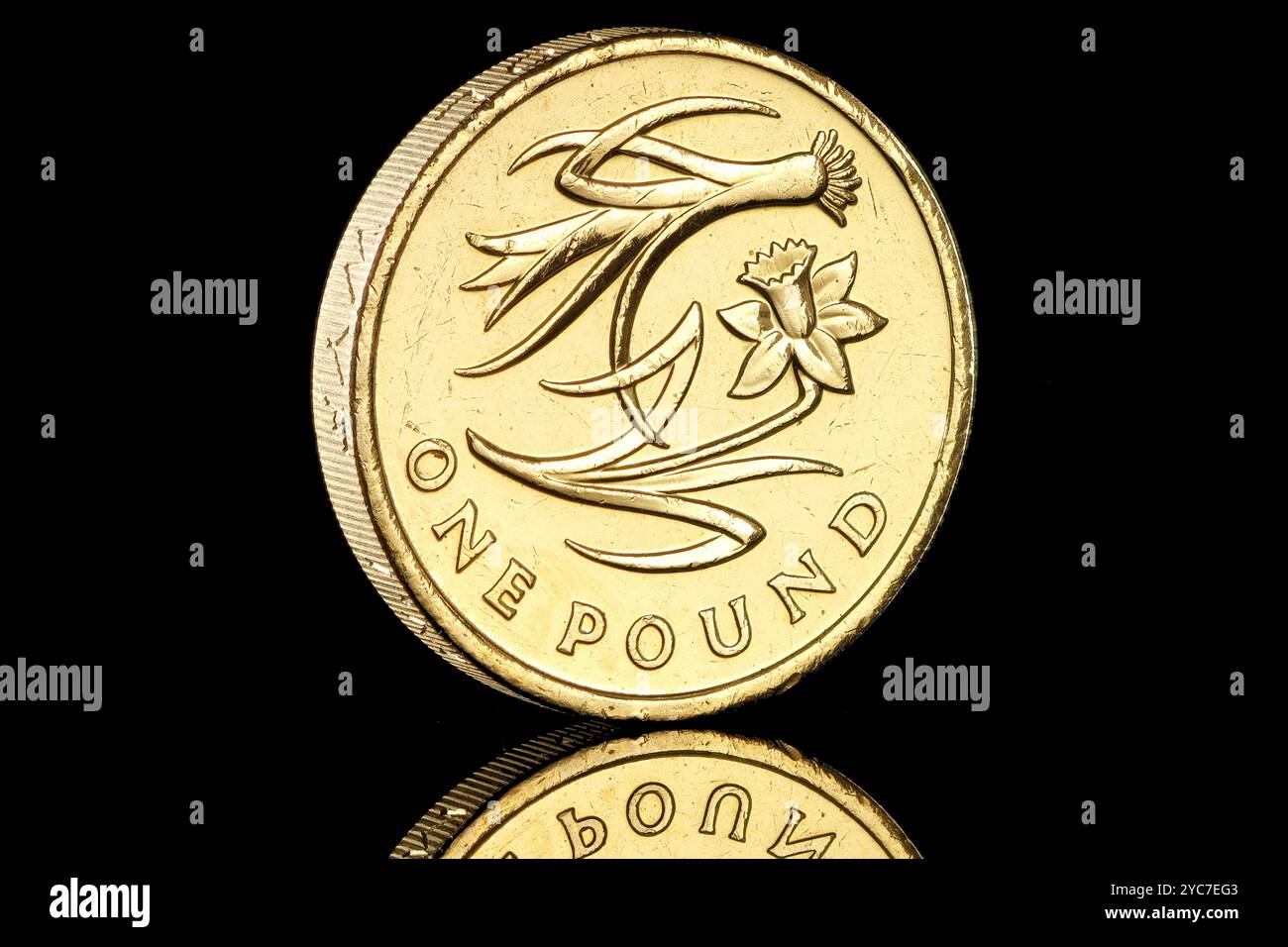 Reverse design of a Leek & Daffodil to represent Wales and is part of ...