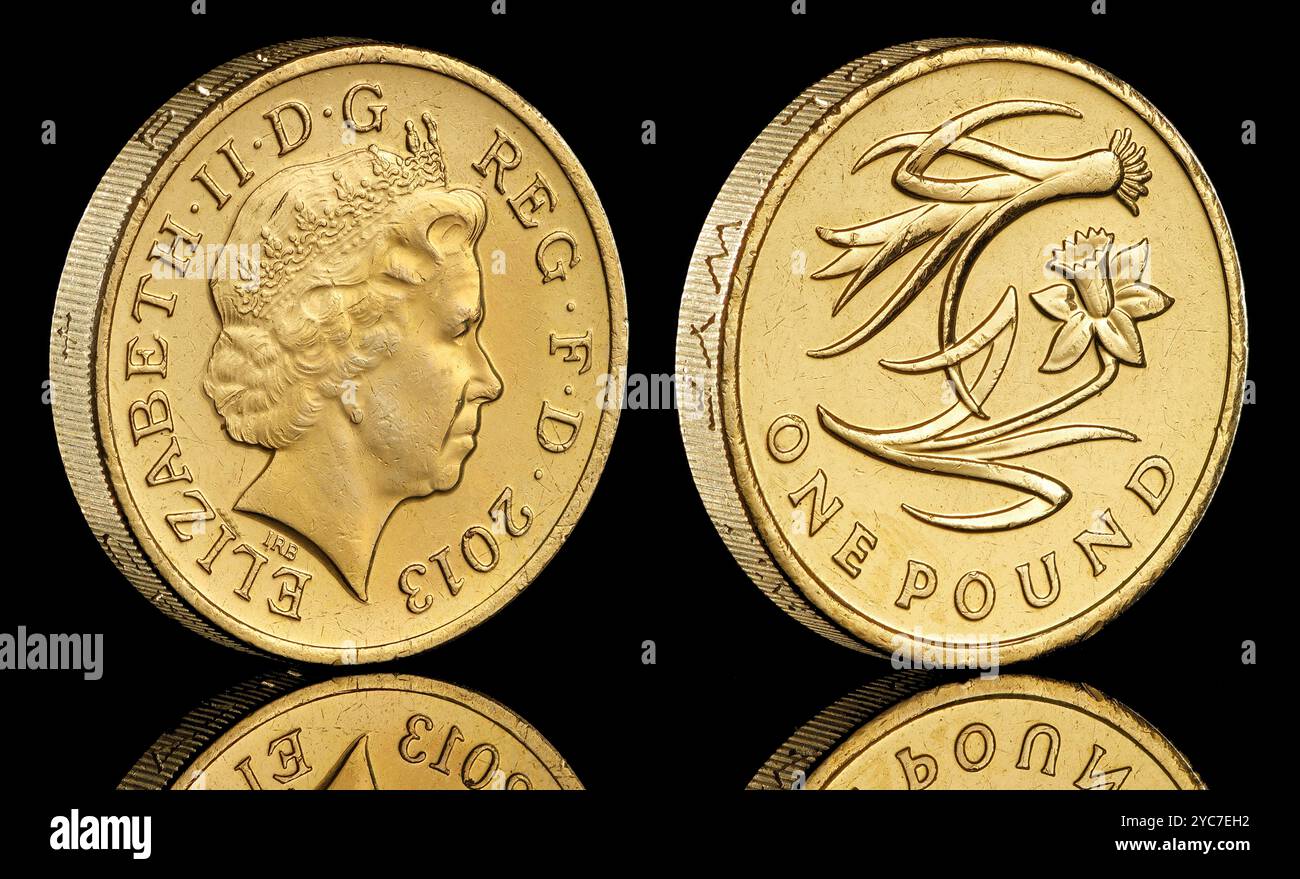 Front & back of a 2013 UK £1 coin showing a Leek & Daffodil design to ...