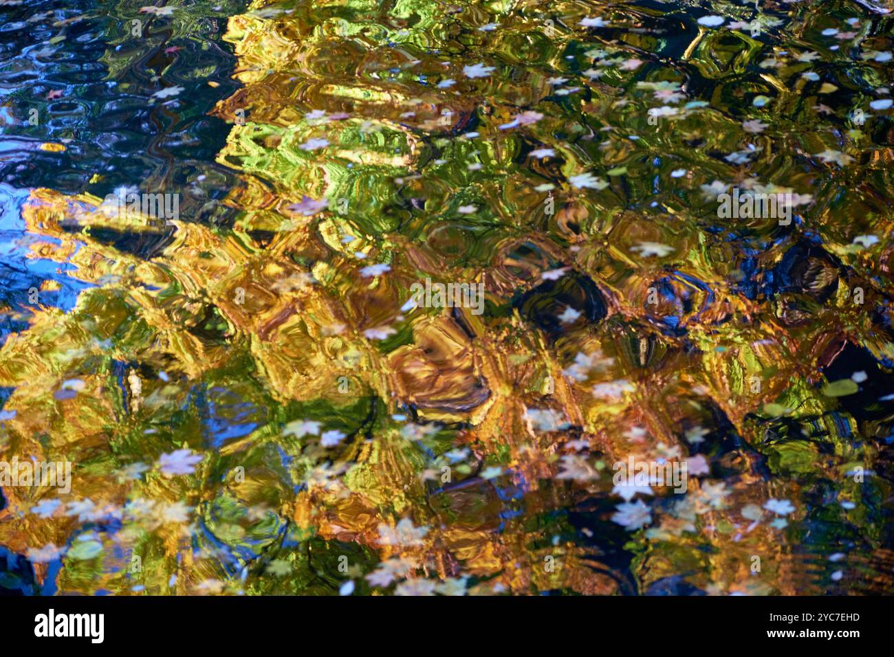 Abstract Autumn Tree Reflection in Rippling Water Stock Photo - Alamy
