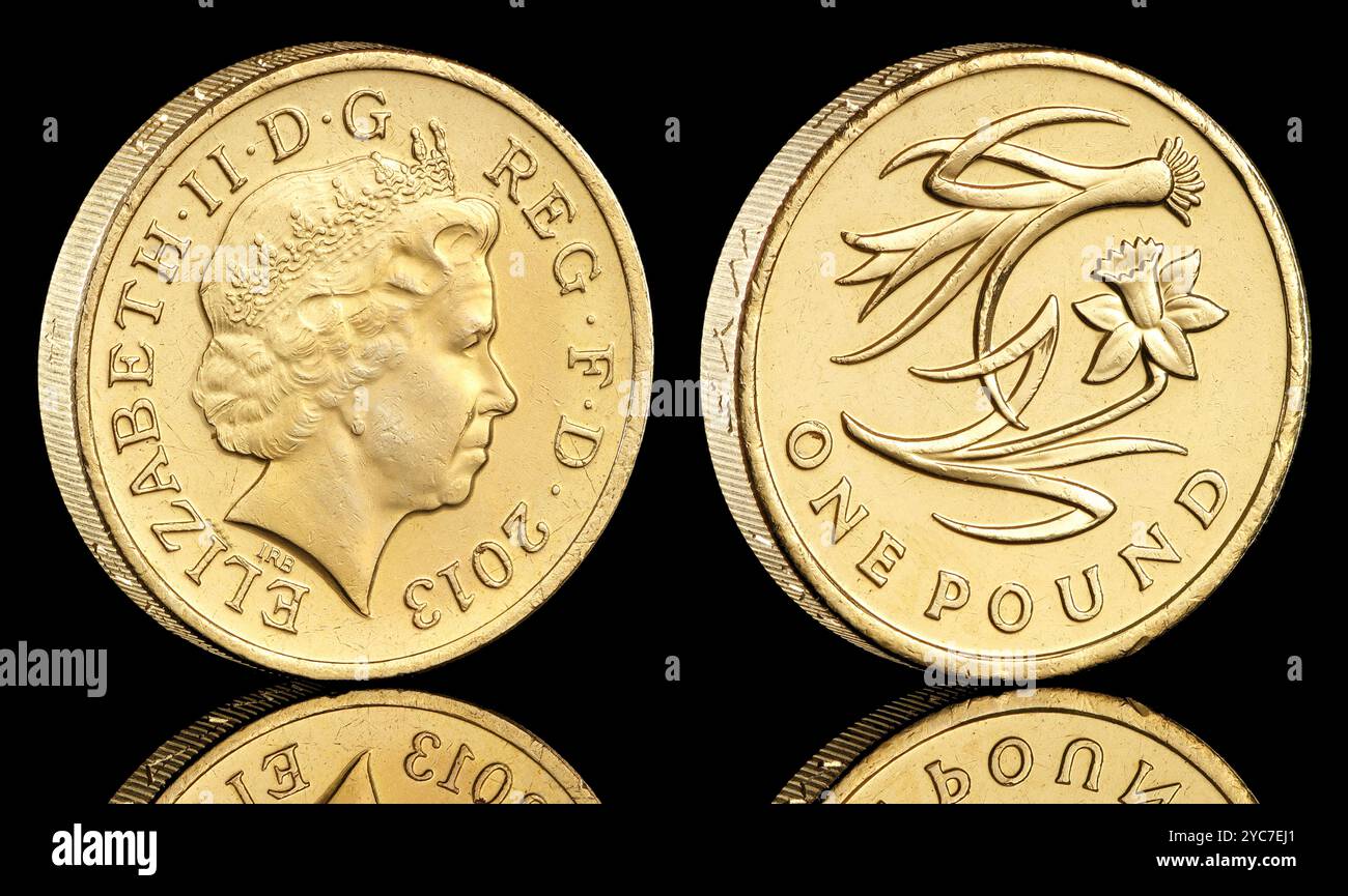 Front & back of a 2013 UK £1 coin showing a Leek & Daffodil design to ...