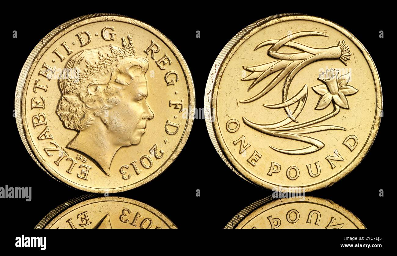 Front & back of a 2013 UK £1 coin showing a Leek & Daffodil design to ...