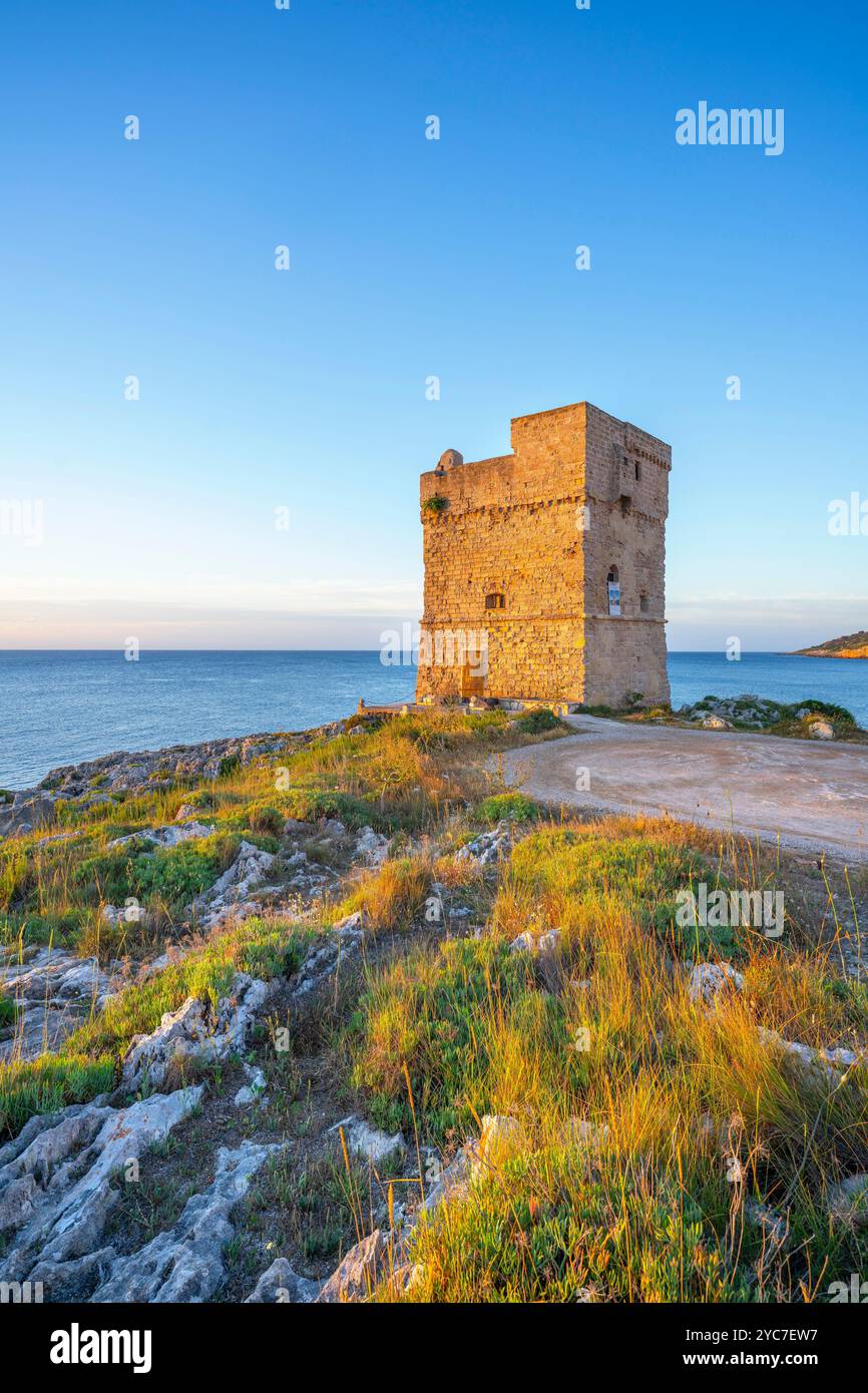 Palane tower hi-res stock photography and images - Alamy