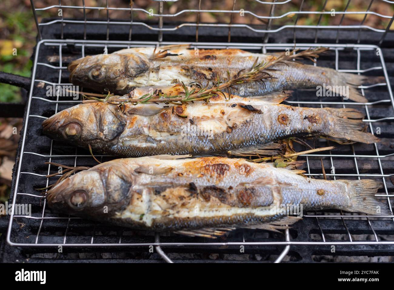 Three sea bass fish hi-res stock photography and images - Alamy