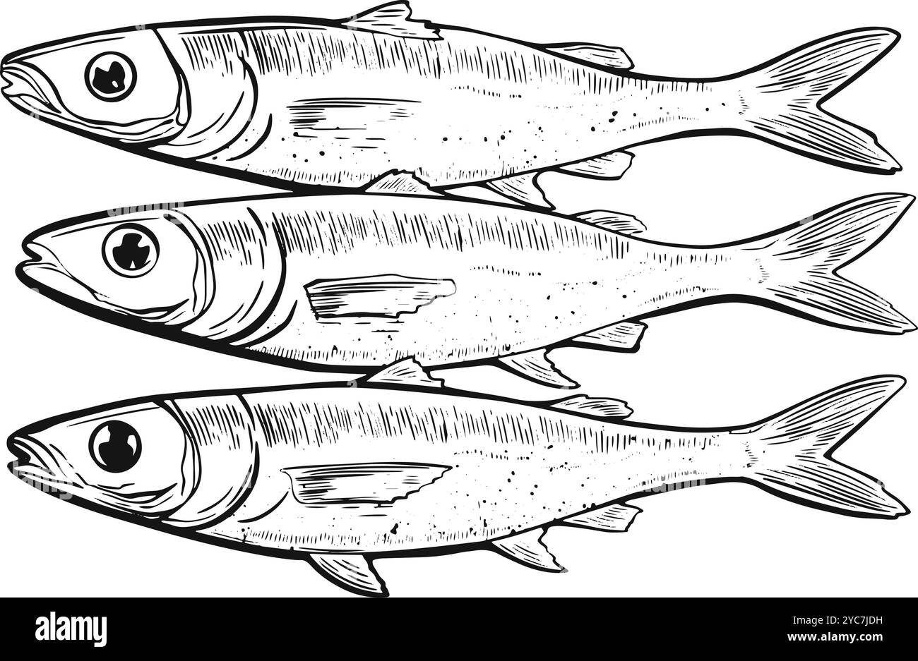 Baltic line Cut Out Stock Images & Pictures - Alamy