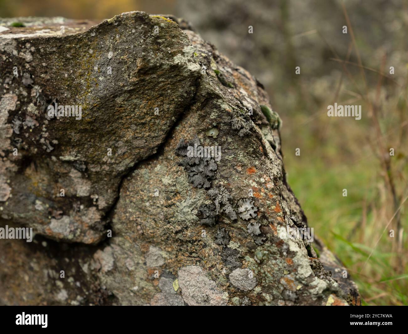 Alpine rock covered with lichens Stock Photo - Alamy