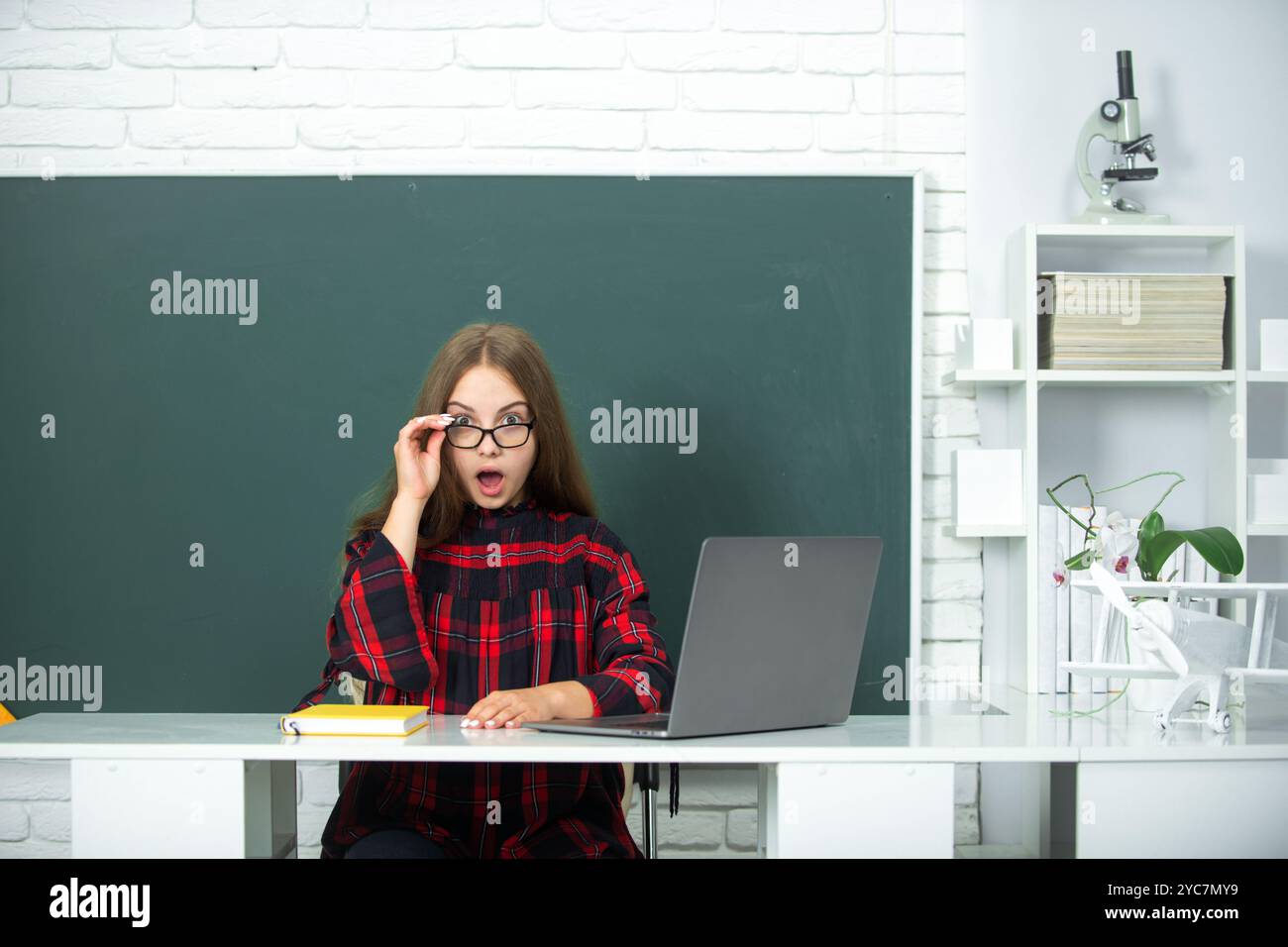 Portrait of school girl in classroom. School and students in classroom ...