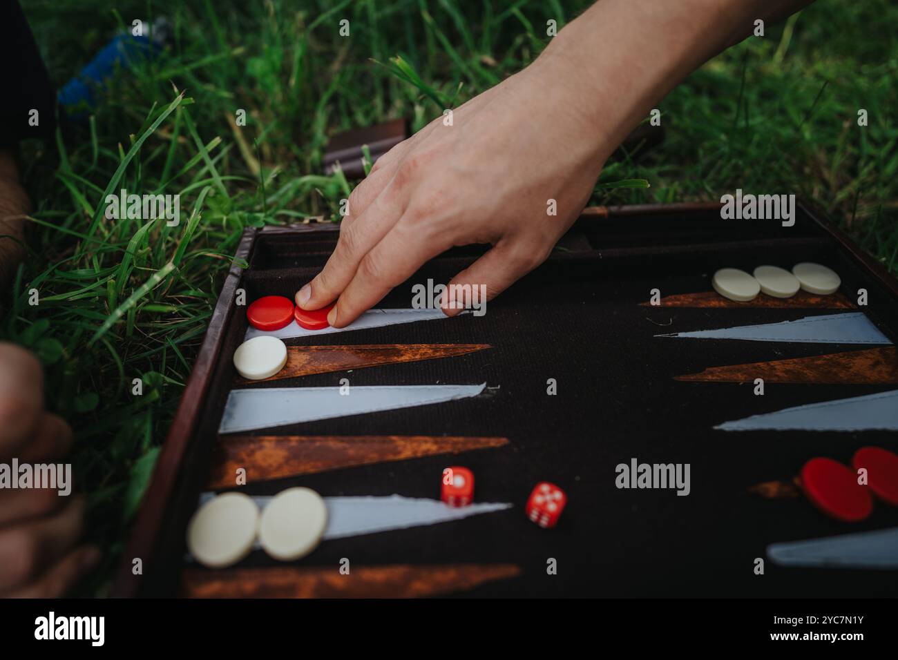 Hand playing backgammon on a grass field in an outdoor setting Stock ...