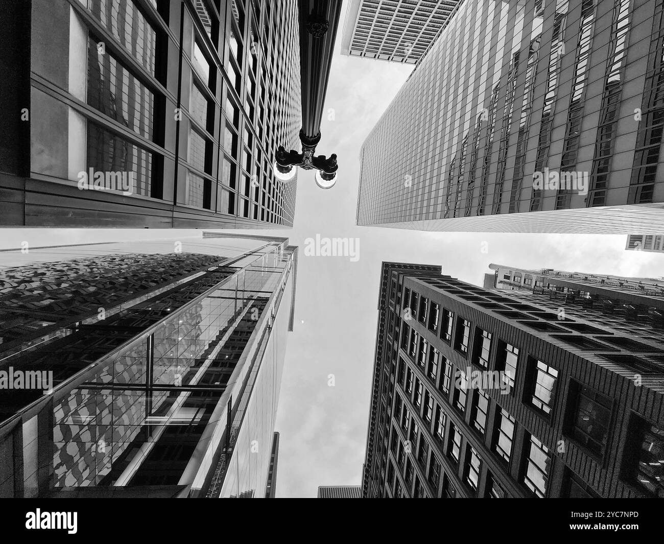 perspective view. skyscraper building architecture. skyscraper with ...