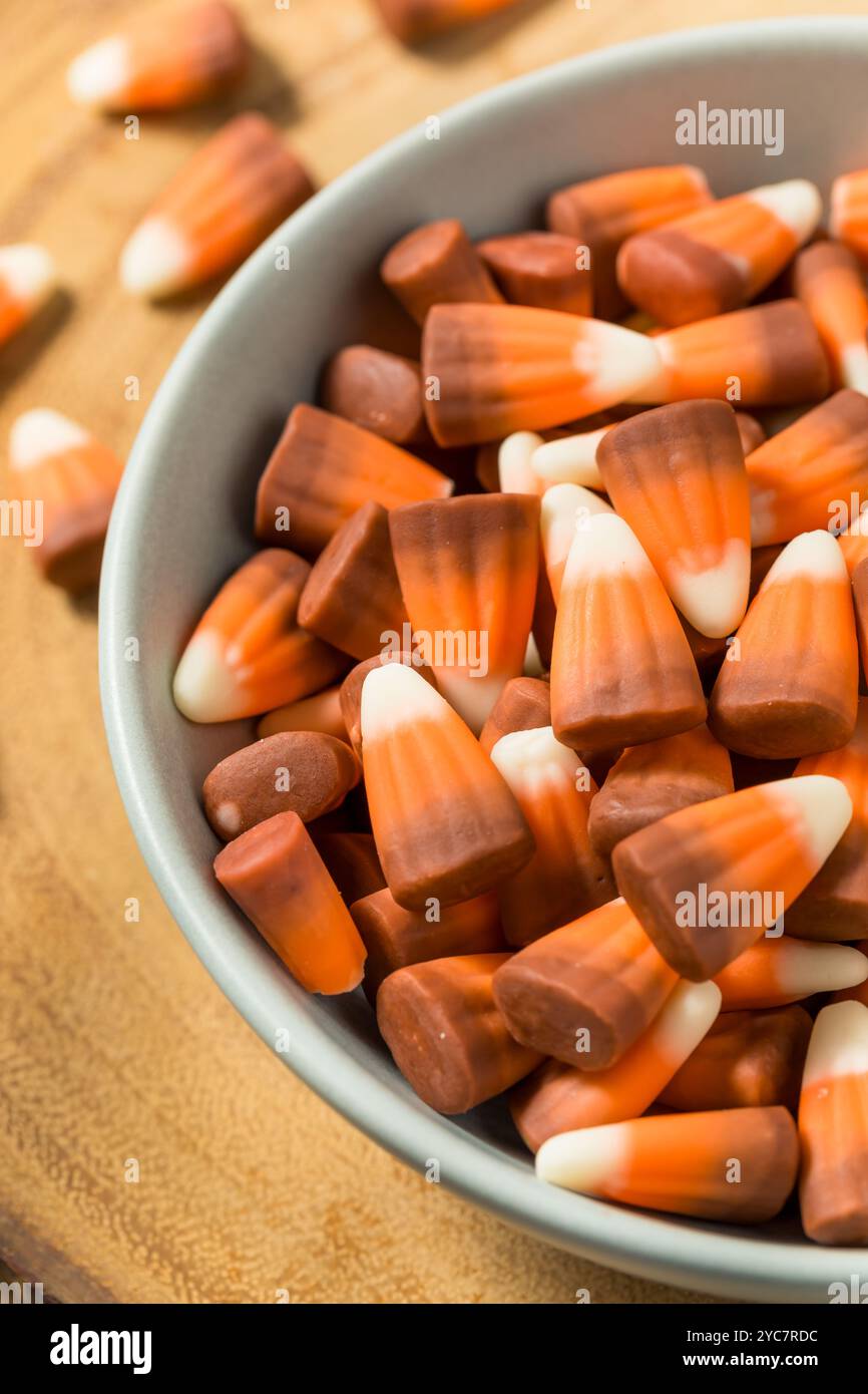 Halloween pumpkin chocolate candy hi-res stock photography and images - Alamy