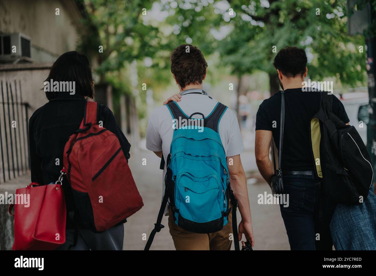 Group of friends walking on a tree-lined urban sidewalk Stock Photo - Alamy