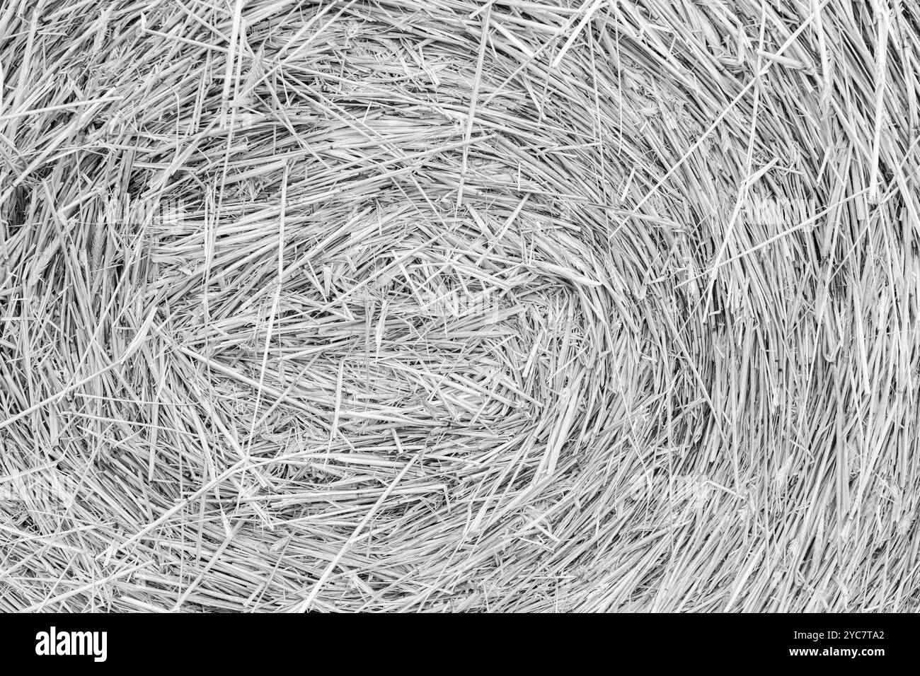 straw summer background. haystack straw prepared for farm. Stack dry ...