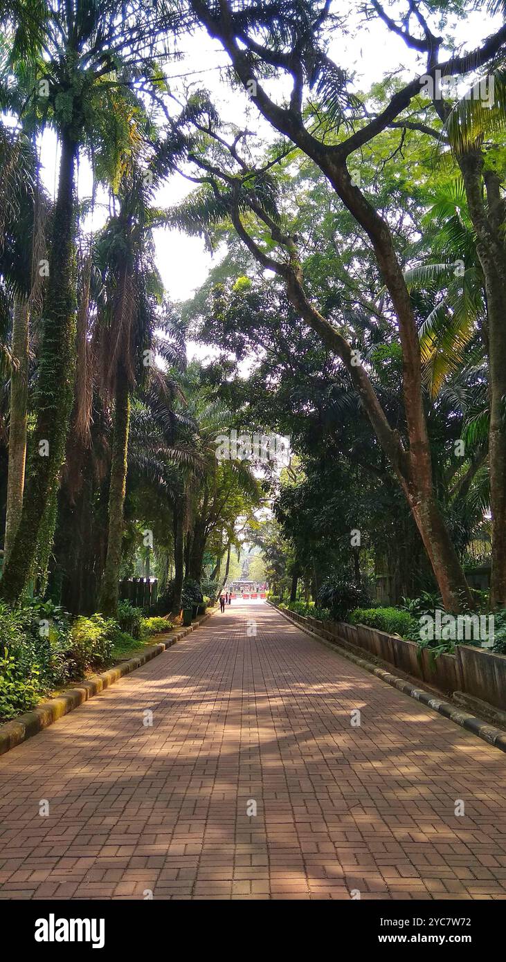 Shady spring garden hi-res stock photography and images - Alamy