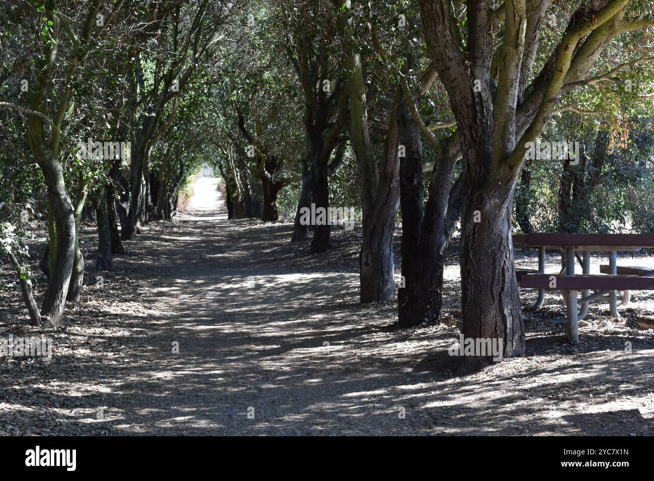 Iron Mountain Hiking Trailhead Poway California. The Iron Mountain ...