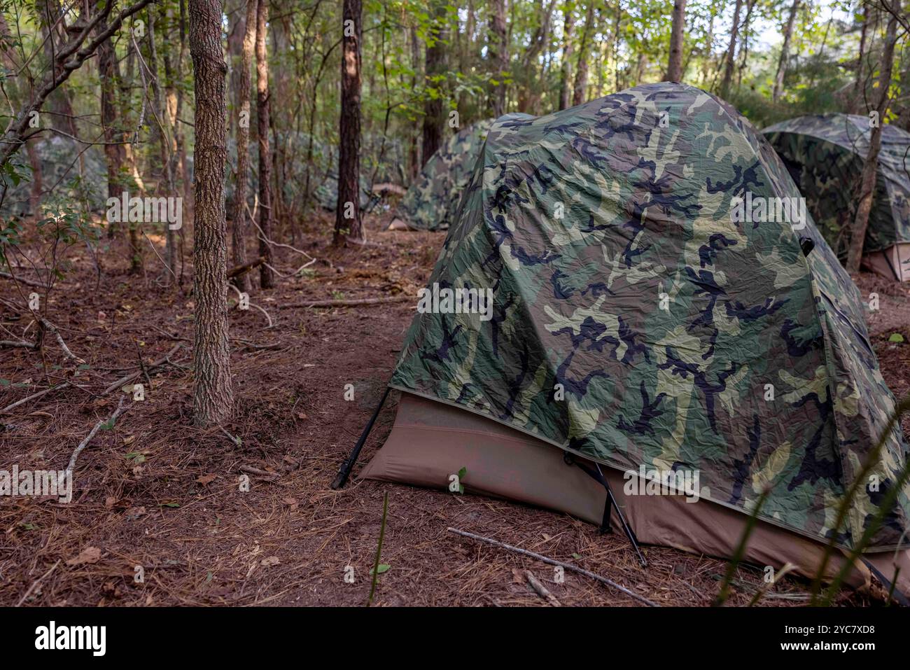 Clr 27 hi-res stock photography and images - Alamy