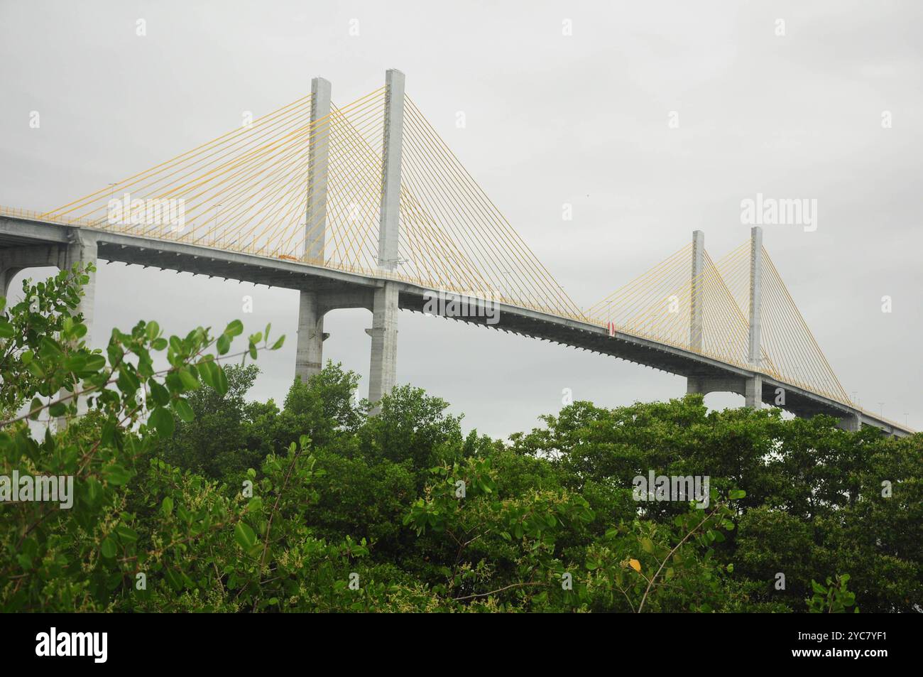 Rising above support suspension bridge hi-res stock photography and ...