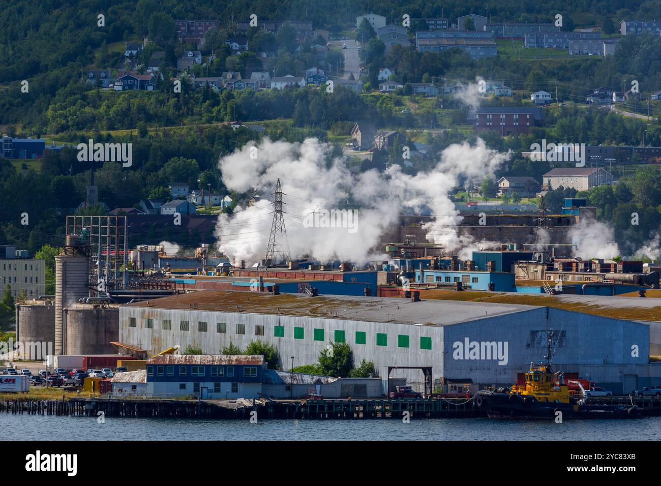 Pulp & Paper Mill, Corner Brooke, Newfoundland, Canada Stock Photo - Alamy