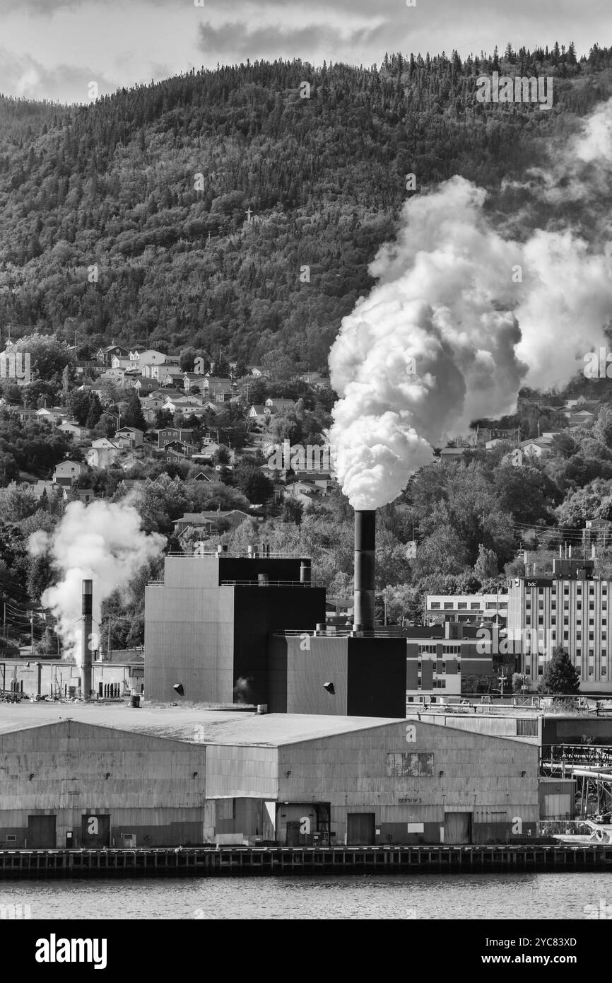 Pulp & Paper Mill, Corner Brooke, Newfoundland, Canada Stock Photo - Alamy