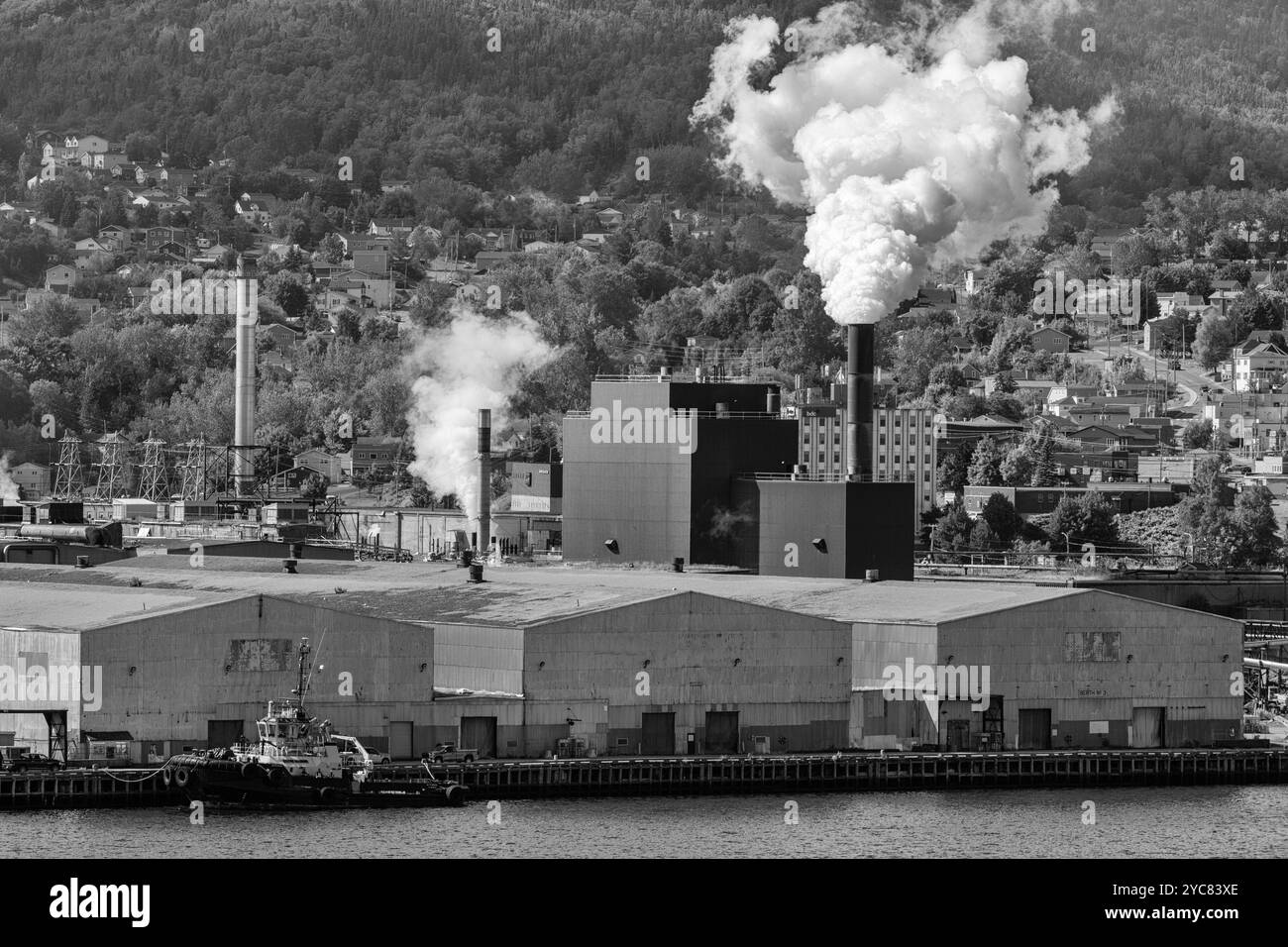 Pulp and paper pulp and paper mill Black and White Stock Photos ...
