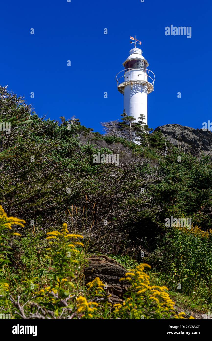 Lobster Head Cove Lighthouse, Rocky Harbour, Newfoundland, Canada Stock ...