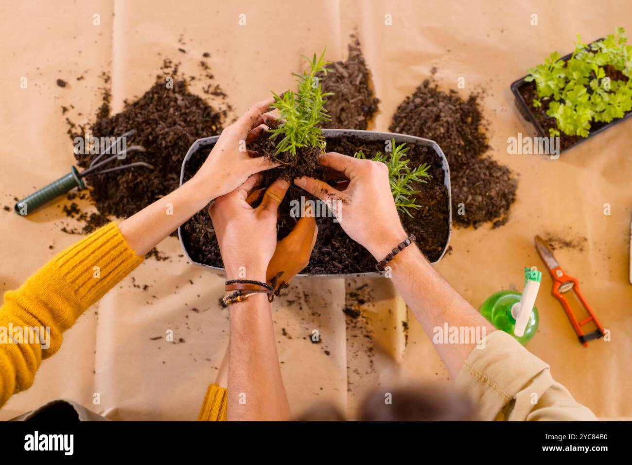 Teamwork gardening hi-res stock photography and images - Alamy