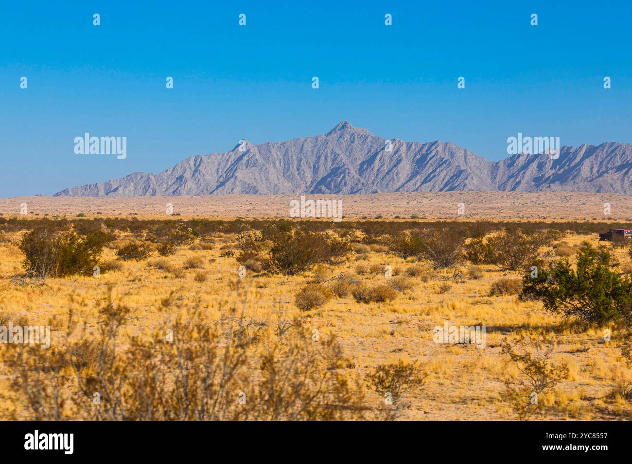 Mountain and valley of grassland, dry scrubland among other desert ...