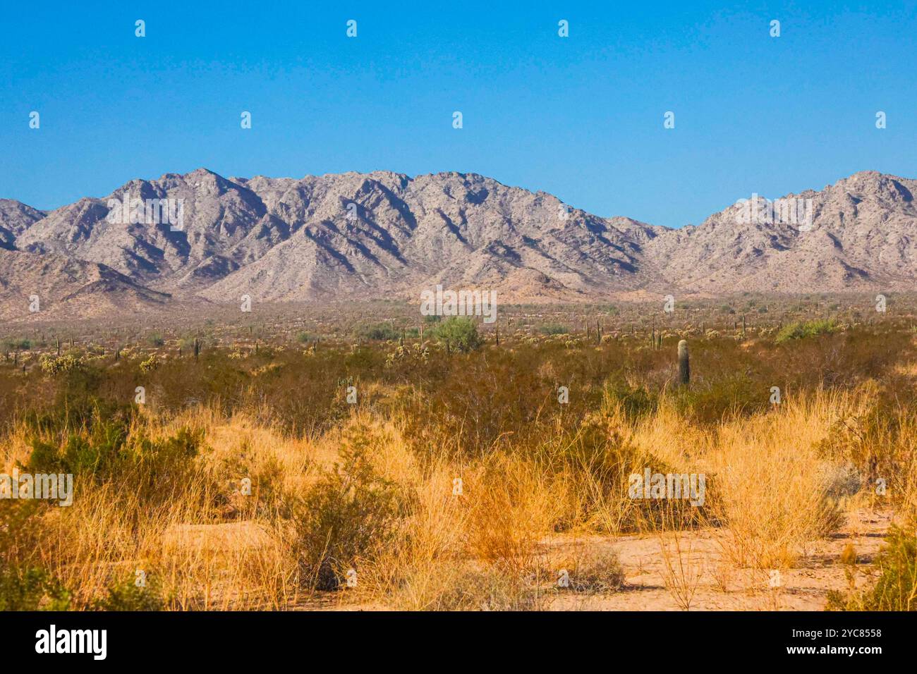 Mountain and valley of grassland, dry scrubland among other desert ...