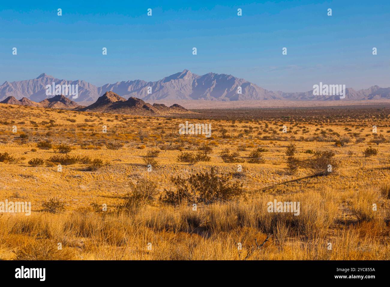 Mountain and valley of grassland, dry scrubland among other desert ...