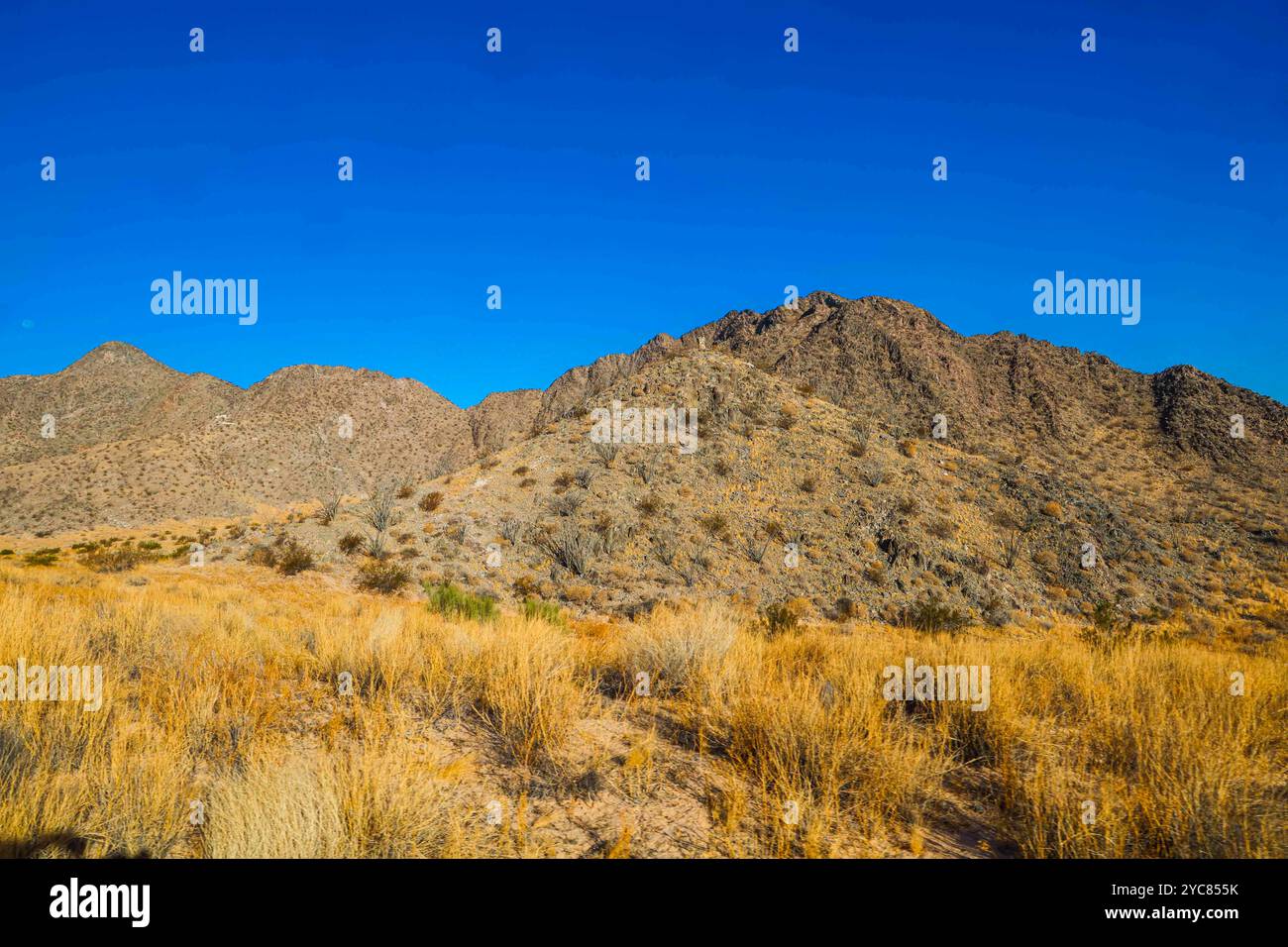 Mountain and valley of grassland, dry scrubland among other desert ...