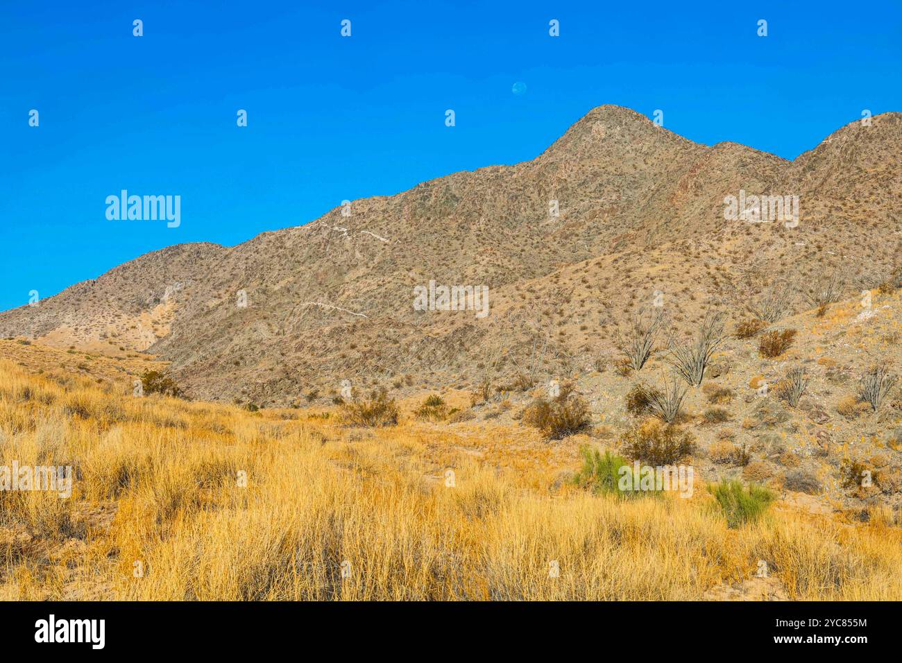 Mountain and valley of grassland, dry scrubland among other desert ...