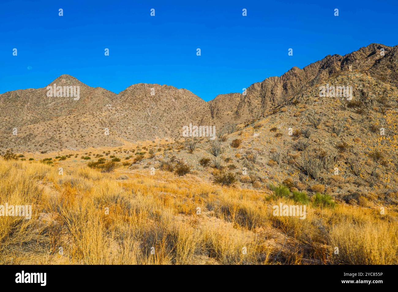 Mountain and valley of grassland, dry scrubland among other desert ...