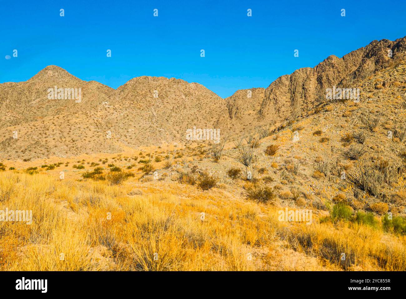 Mountain and valley of grassland, dry scrubland among other desert ...